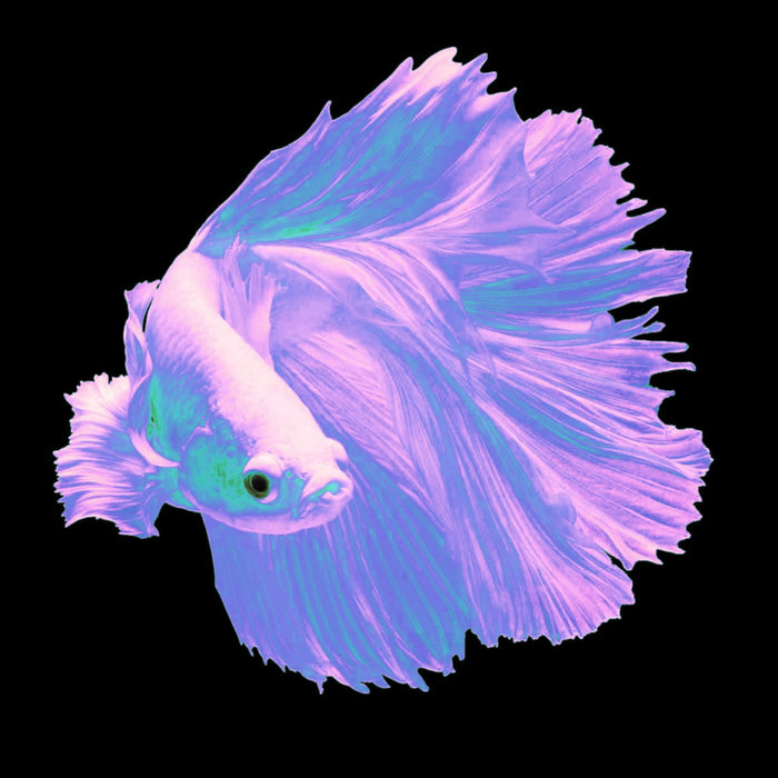 memory wipe | mourning frost