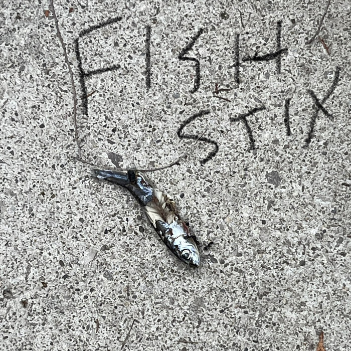 Fish Stix | dr. bunny | Cameron Murray