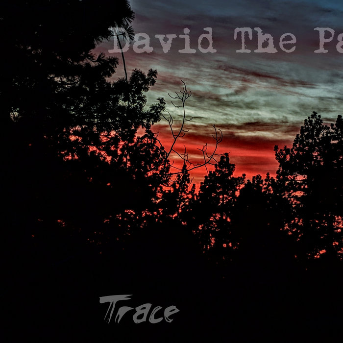 Trace | Disjointed David