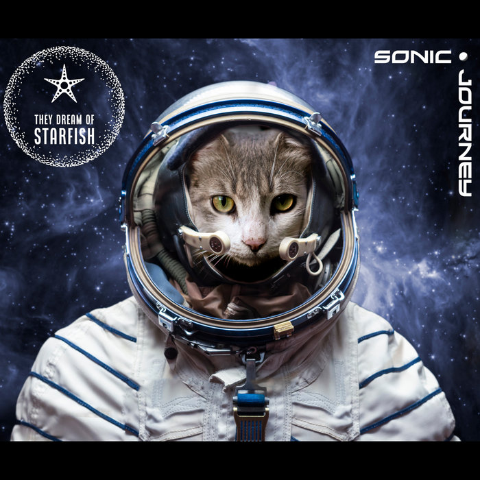 Sonic Journey | They Dream Of Starfish