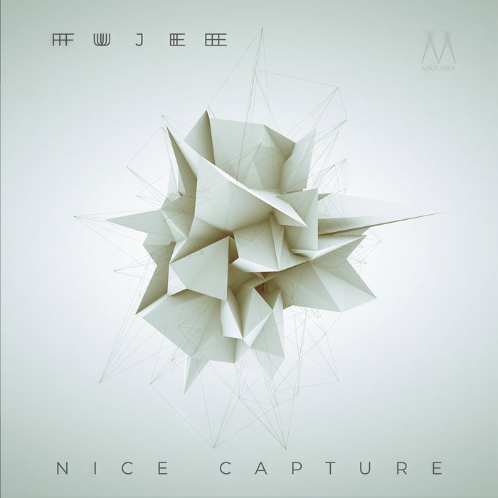 Nice Capture | Fujee