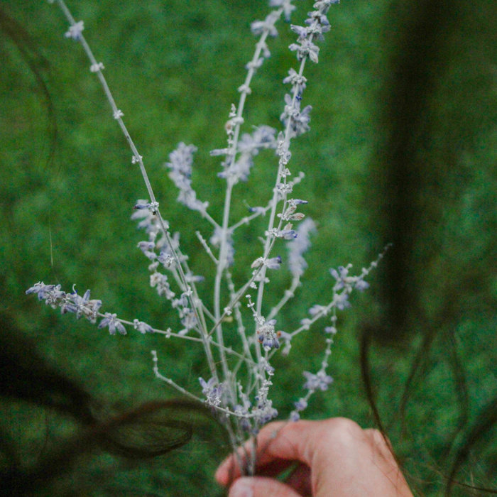 Aging Up | Rebekah Rafferty and The Wakes