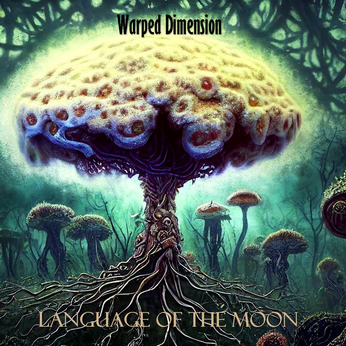 Warped Dimension | LANGUAGE OF THE MOON | Wilfried Hanrath