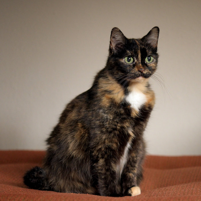 A Different Kind of Person In A Different Kind of Pants | Daddy Wrong Legs