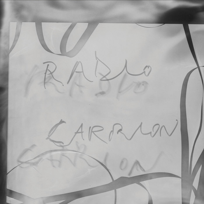 Radio Carrion | Double Goocher Shop | Reading Group