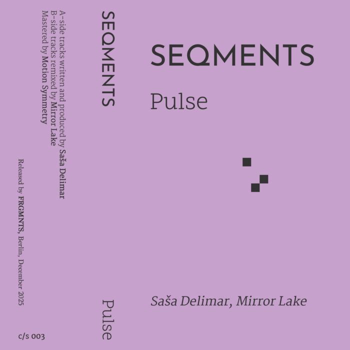 SEQMENTS: PULSE | Saša Delimar, Mirror Lake | FRGMNTS Saša Delimar