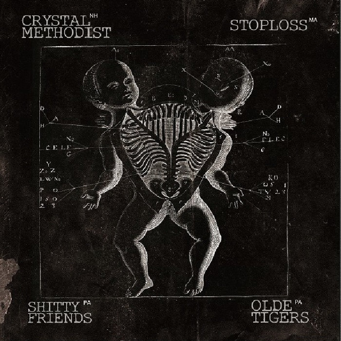 Four-Way Split | Crystal Methodist