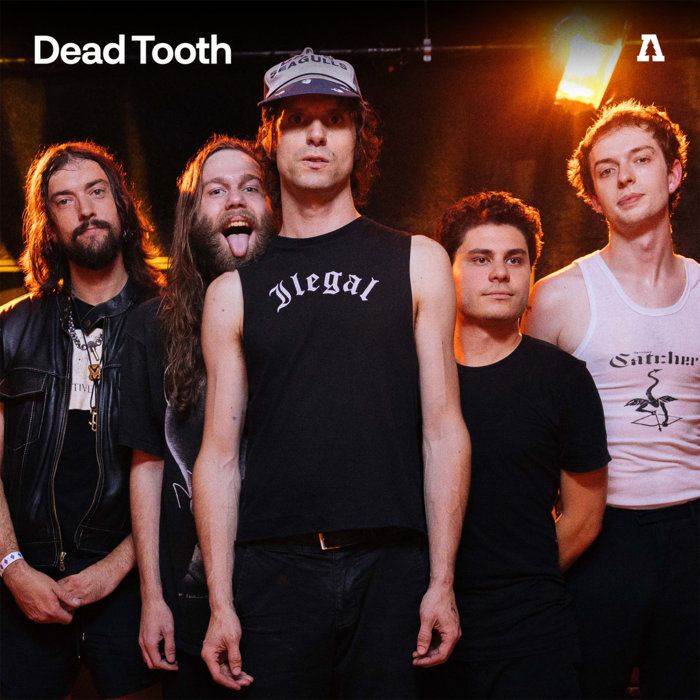 Dead Tooth on Audiotree Live | Dead Tooth | Audiotree