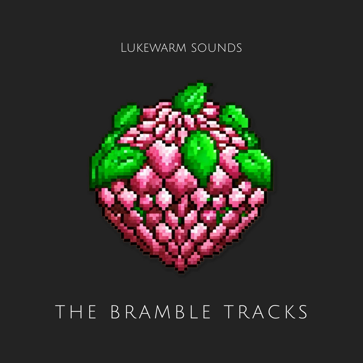 The Bramble Tracks | Lukewarm Sounds