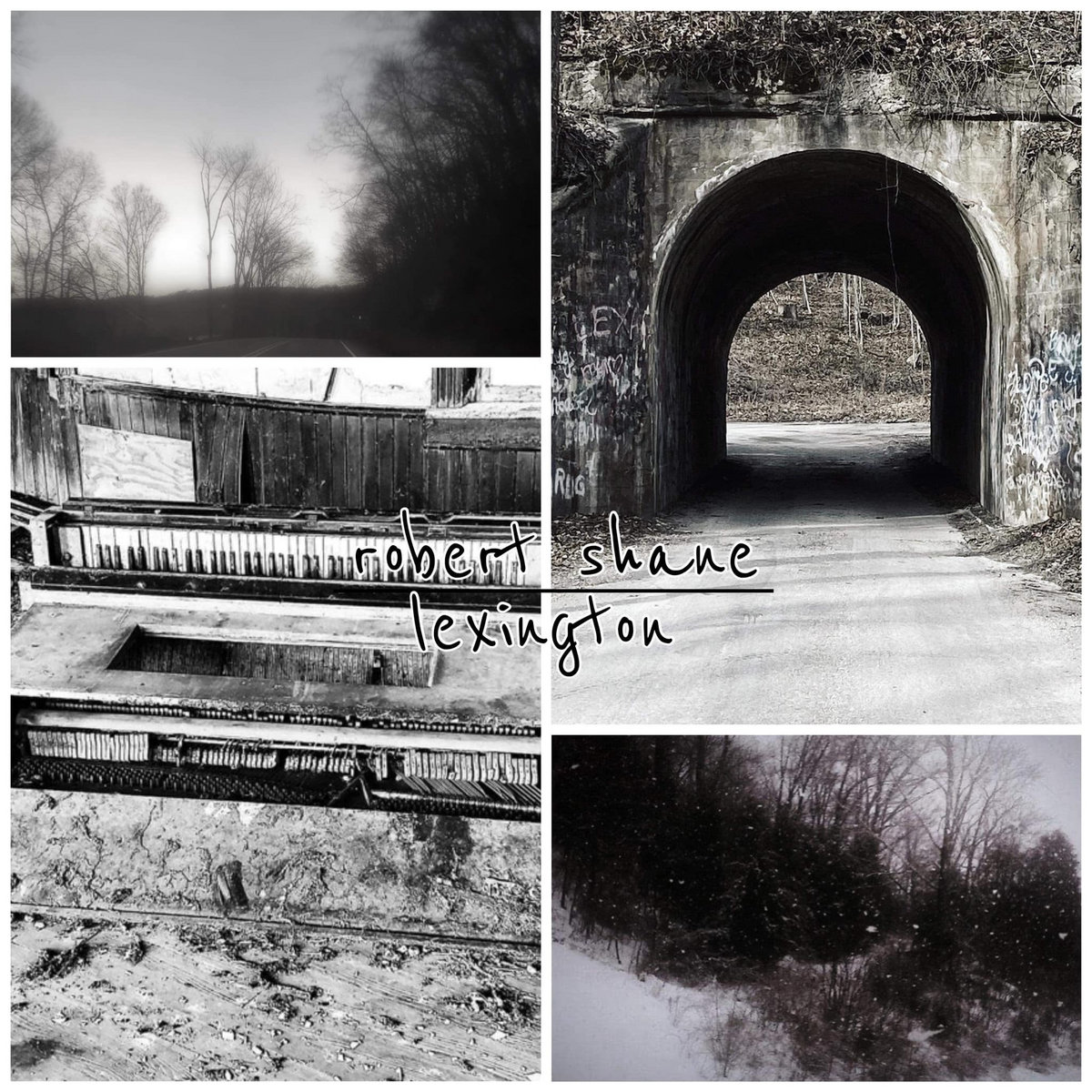 Lexington | Robert Shane