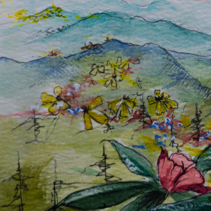 Remembered | Andrew Goins