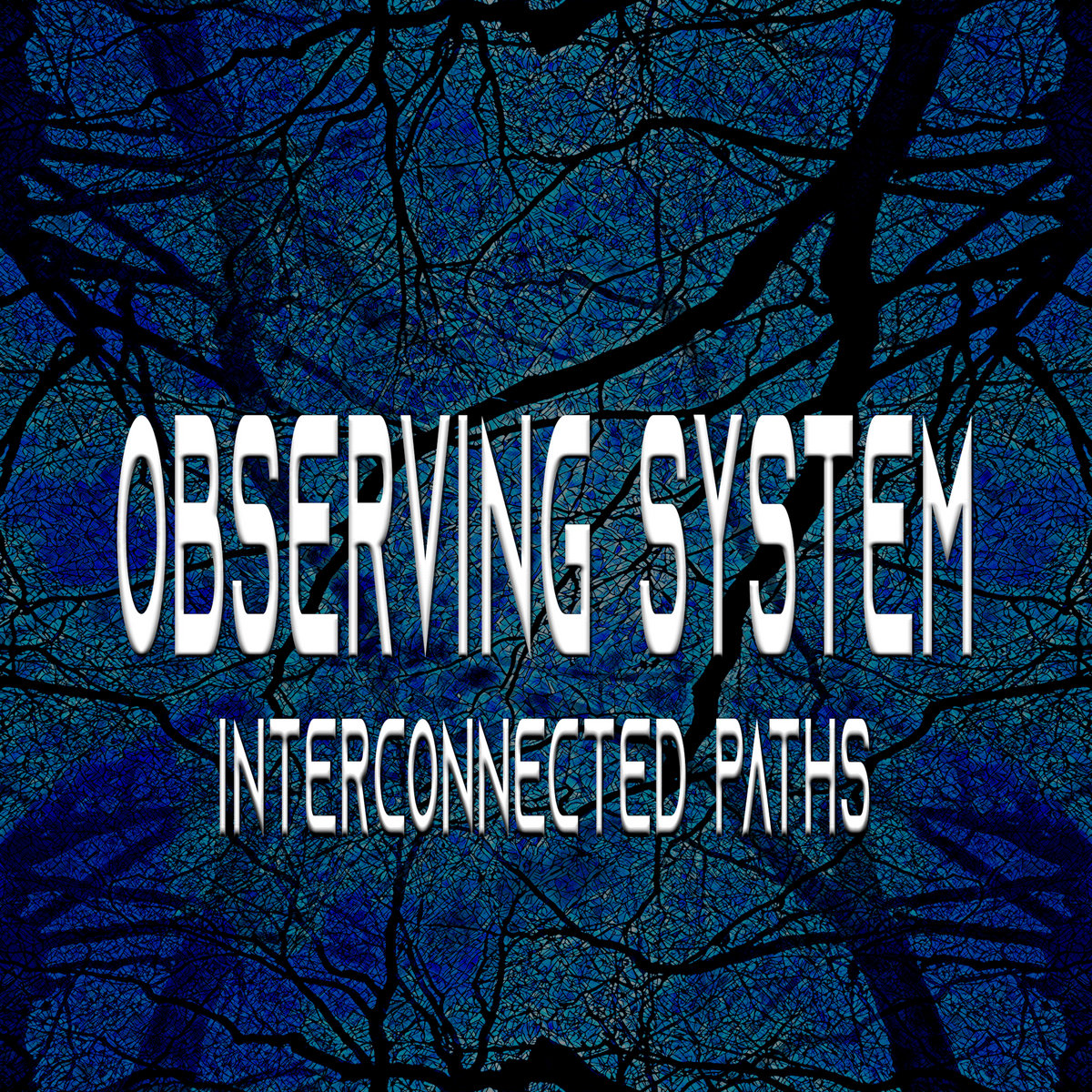 Interconnected Paths | Observing System