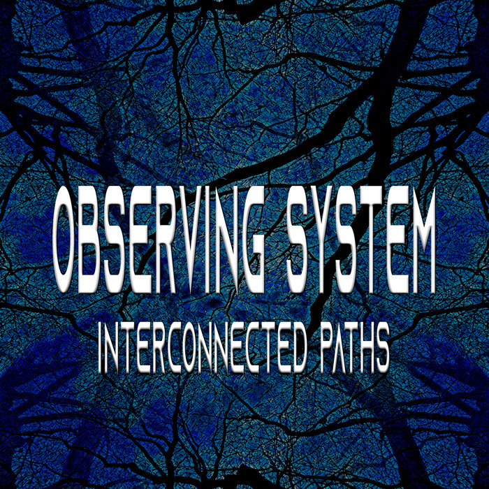 Interconnected Paths | Observing System