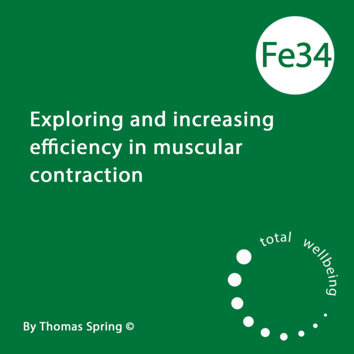Fe34 Exploring and increasing efficiency in muscular contraction ...