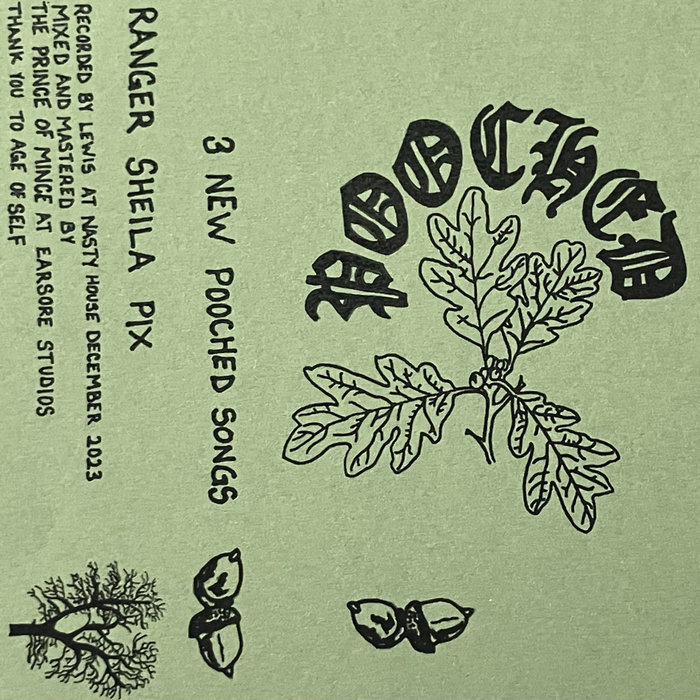 3 NEW SONGS (DEMO) | pooched