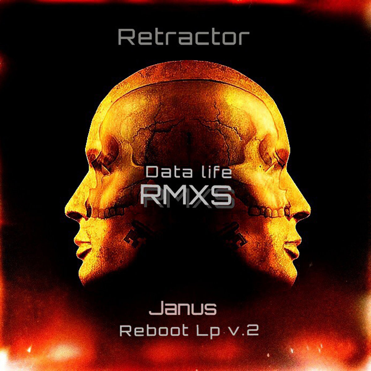 Janus Data Life Remixes Retractor 6451