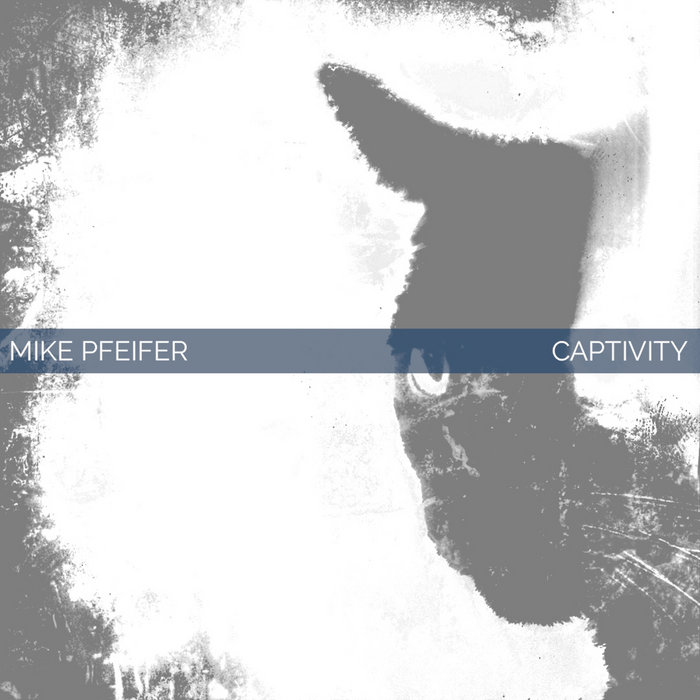 CAPTIVITY | Mike Pfeifer