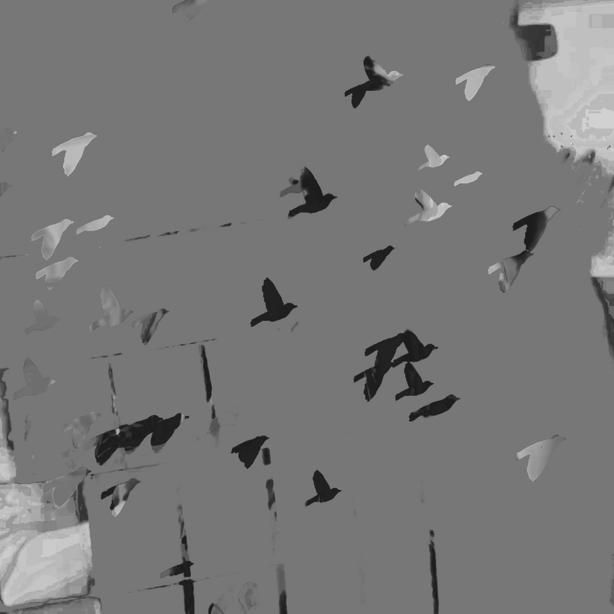 Be That Bird | Bird Screaming Planet