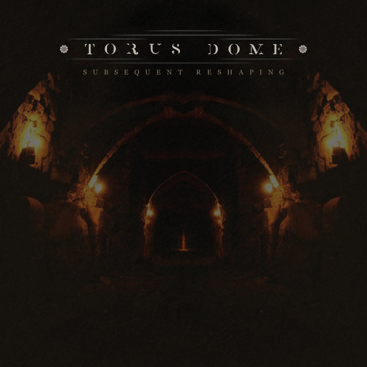 Subsequent Reshaping | Torus Dome | thorusdome