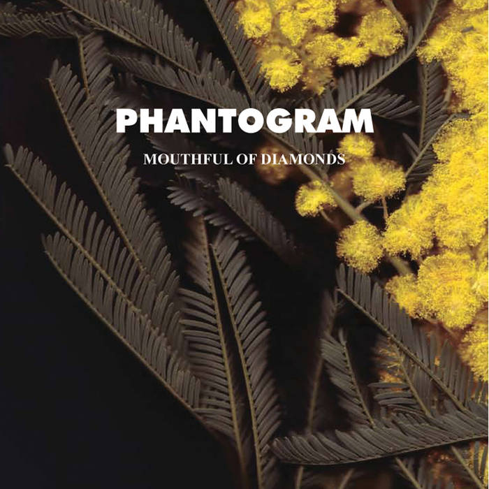 Phantogram Album