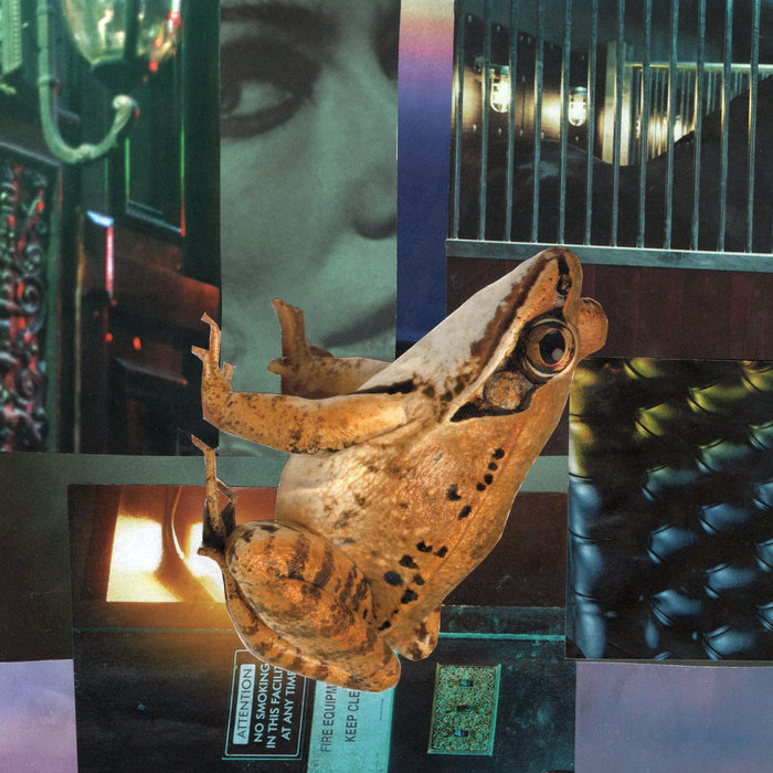 Muzaq for Frogs | Various Artists | moon musiq