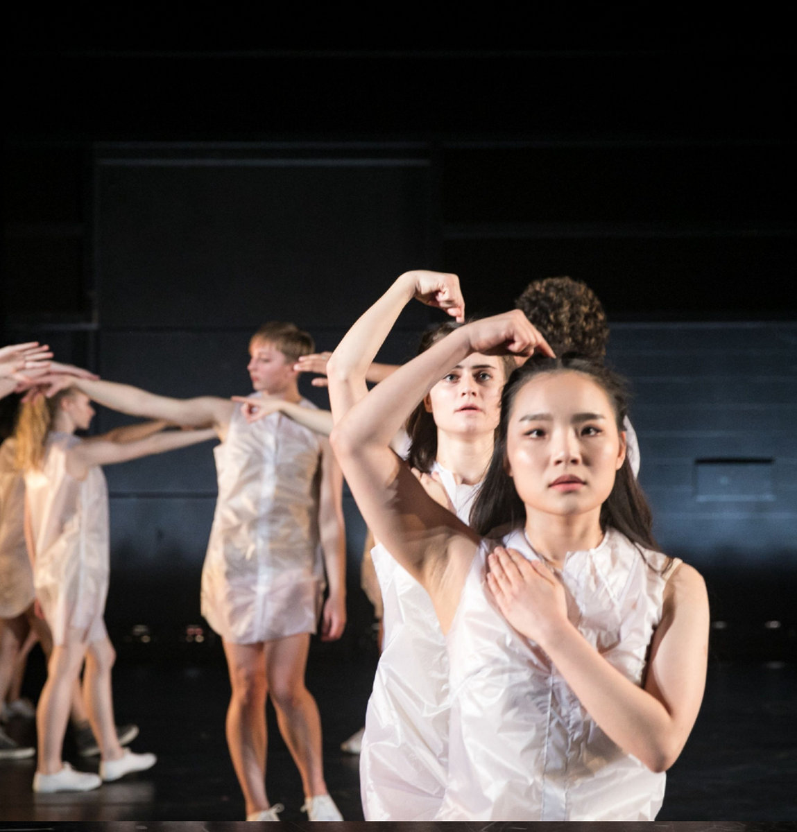 Our Paper Shadow | Ivory Smith