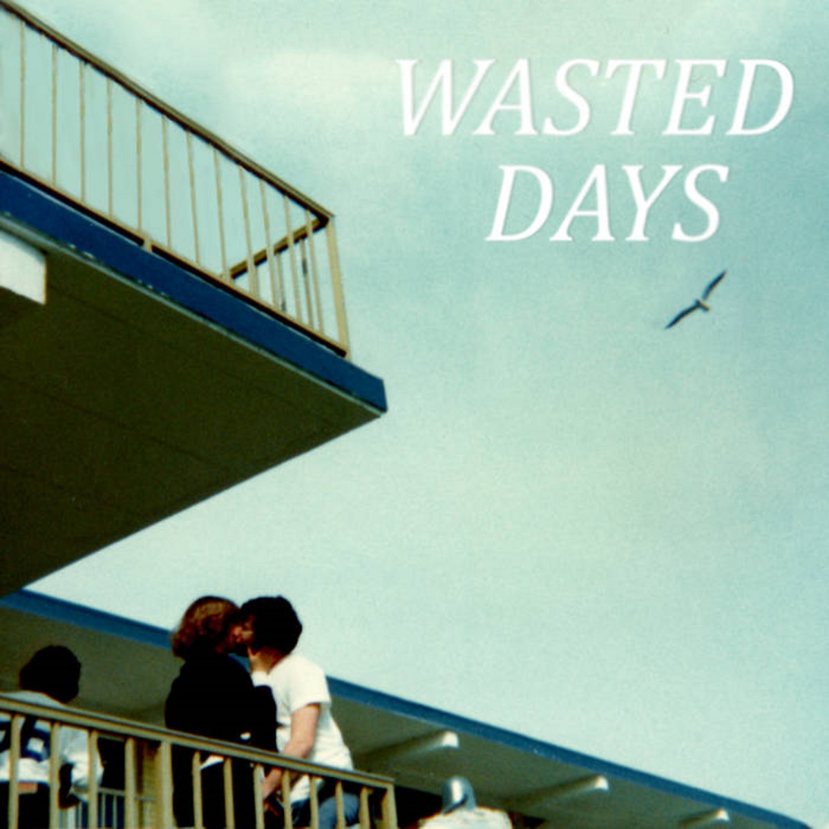 Wasted Days | Andrew Sblendorio