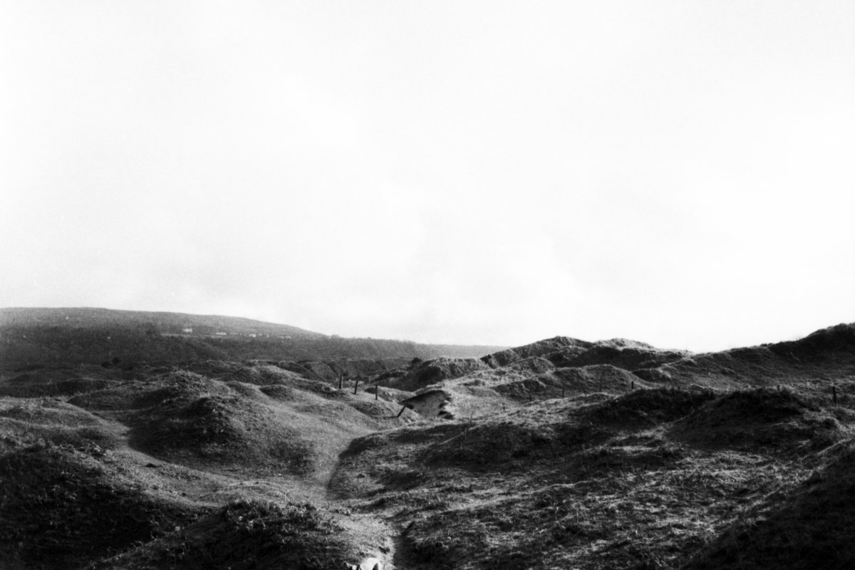 Bird by Bird (Archives 2020-2022) | Byclops