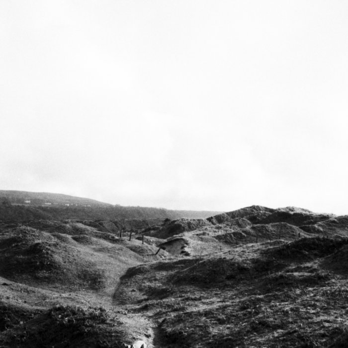 Bird by Bird (Archives 2020-2022) | Byclops