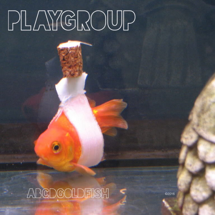 ABCD Goldfish | Playgroup. | Playgroup