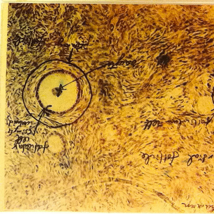 Lost Tapes Volume 3 | Stan Hipkiss