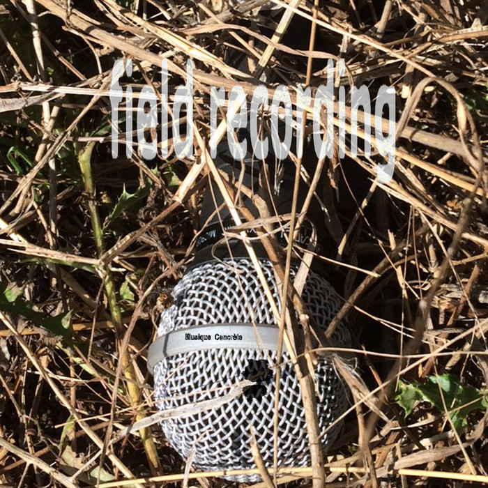 field recording | various | Institute For Alien Research