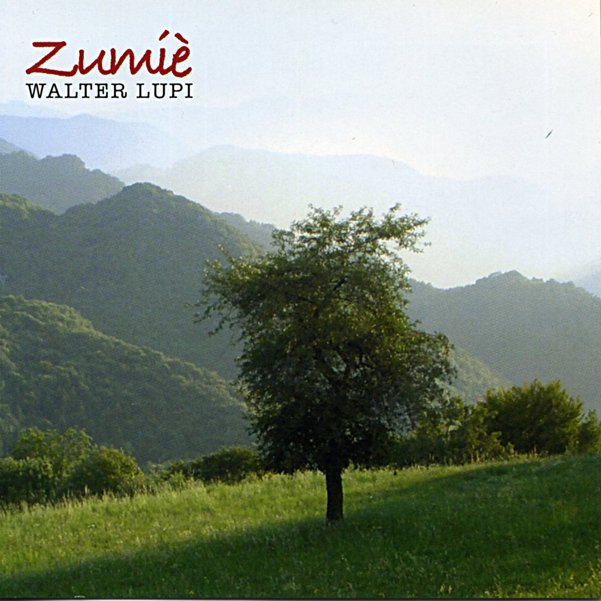 Zumiè - 2007 | Walter Lupi
