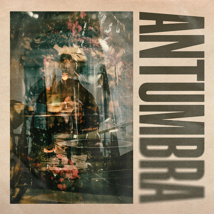 Antumbra | Grayscale