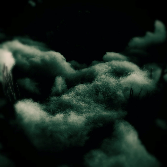 void | Lotus on the Shore