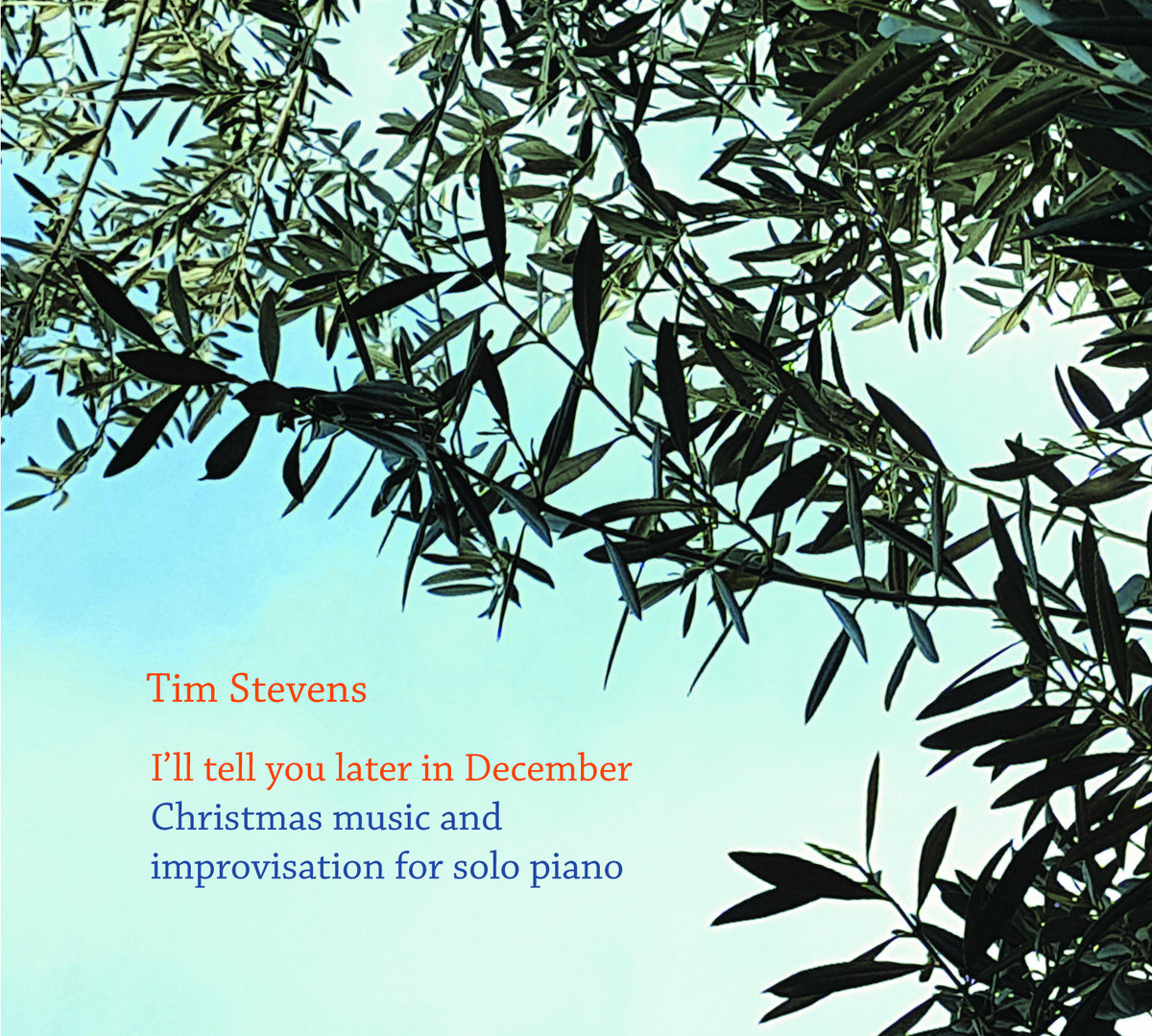 I'll tell you later in December | Tim Stevens
