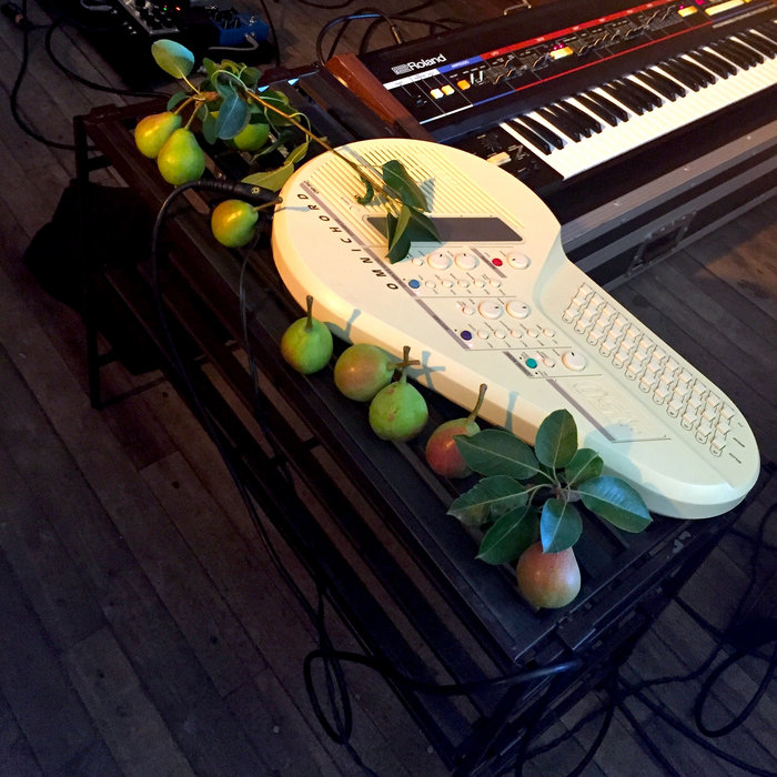 New Wave Burning Poppy Fields | Garden of Persephone