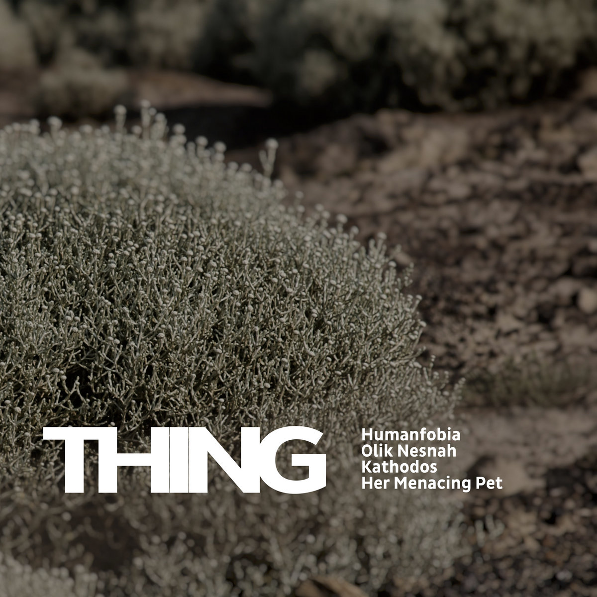 THING | Her Menacing Pet