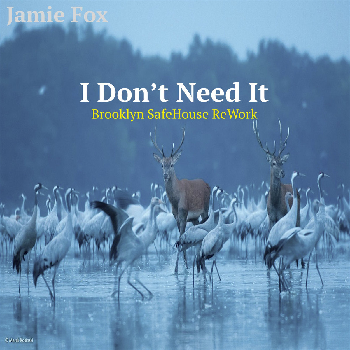 Jamie Fox - I Don't Need It (Brooklyn SafeHouse ReWork) | Hani