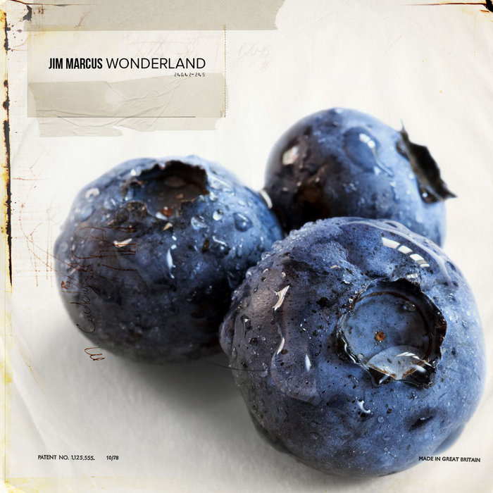 Wonderland | Jim Marcus