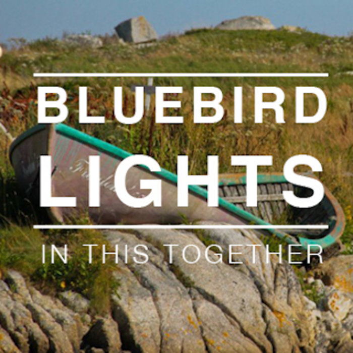 In This Together | Bluebird Lights