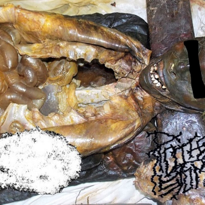 Grotesque Derangement Leads To Degenerate Behavior (split with Rotten ...