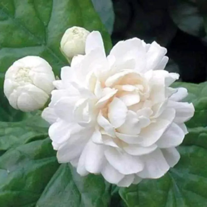 sda dsa dsa sda dsad sadasaasdasd | sdadsdsdsaasd | slusk