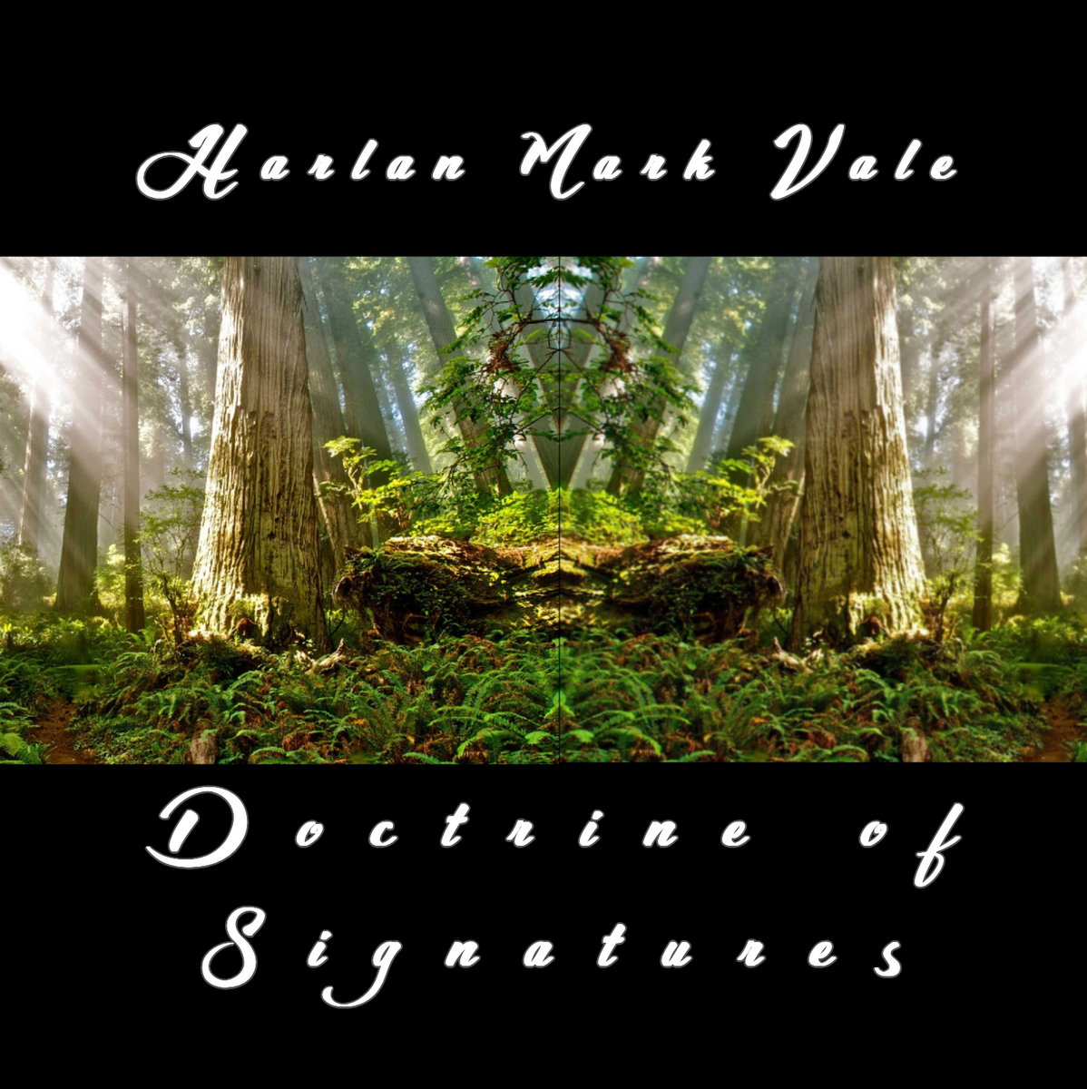 Doctrine of Signatures | Harlan Mark Vale