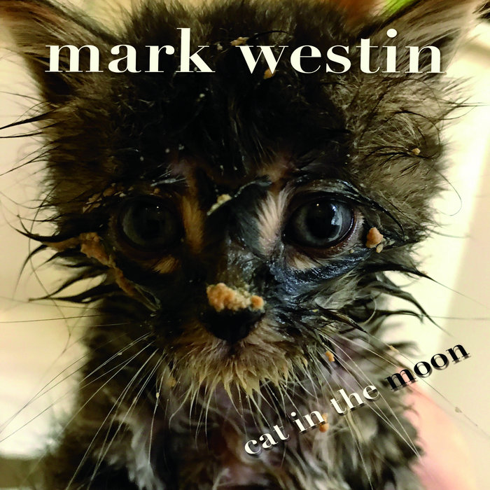 Cat in the Moon | Mark Westin