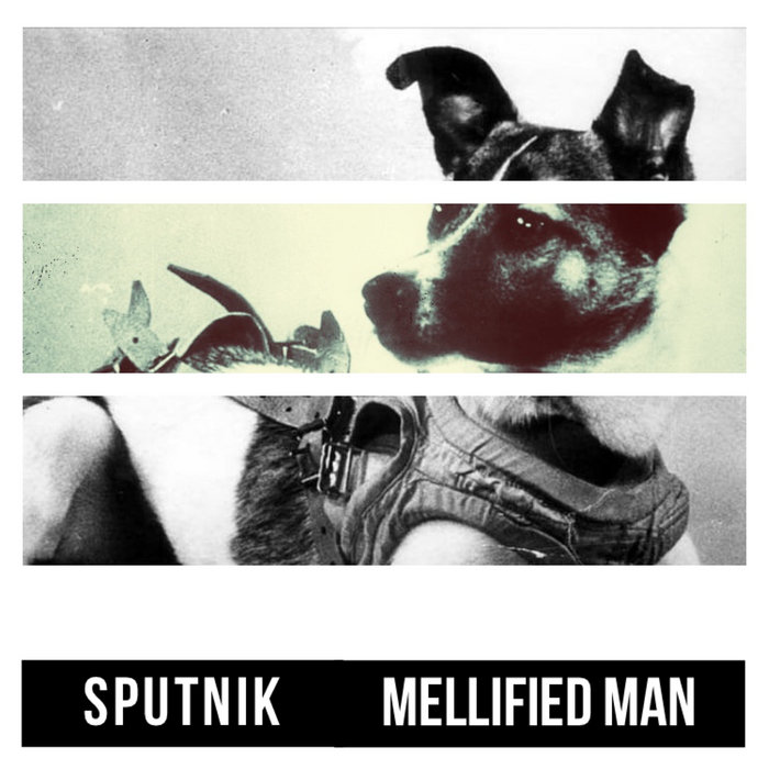 Sputnik | Mellified Man