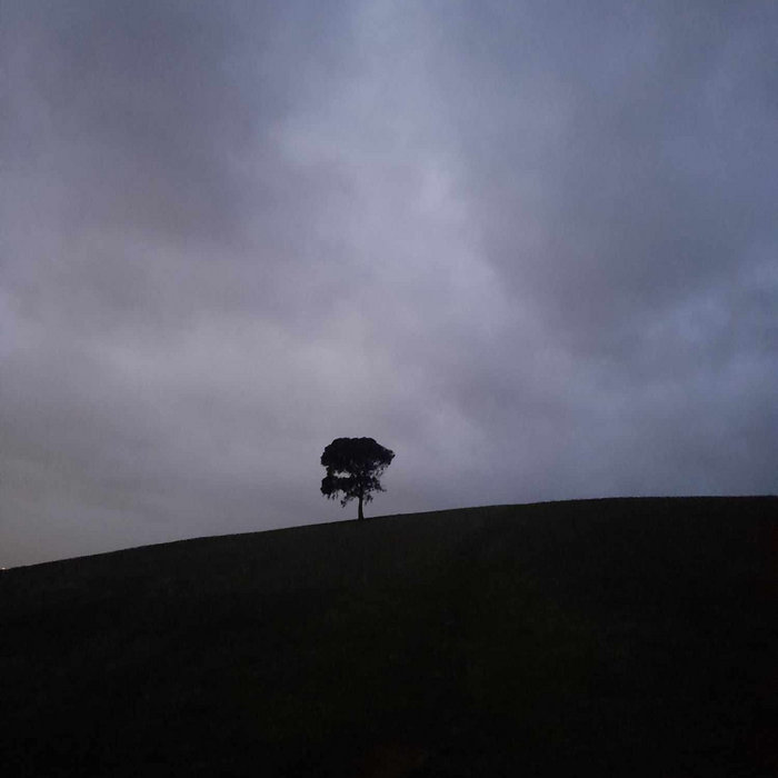 More Musings Pt.2 | Georgia Astridge