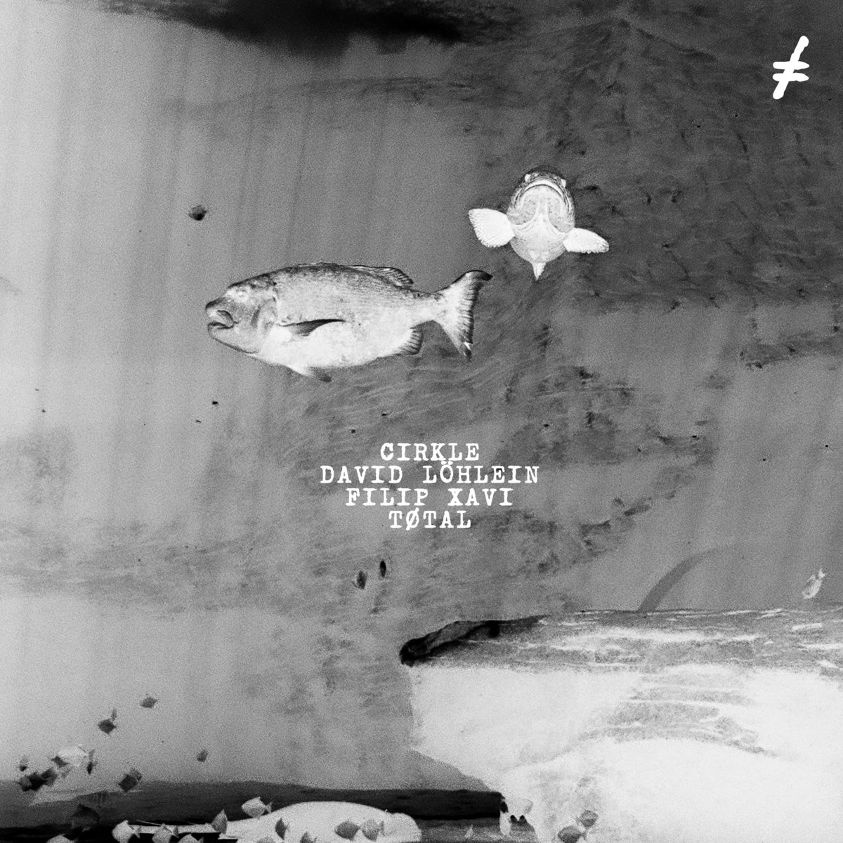 Schimmer 001 [12"+ Digital] | Schimmer Records