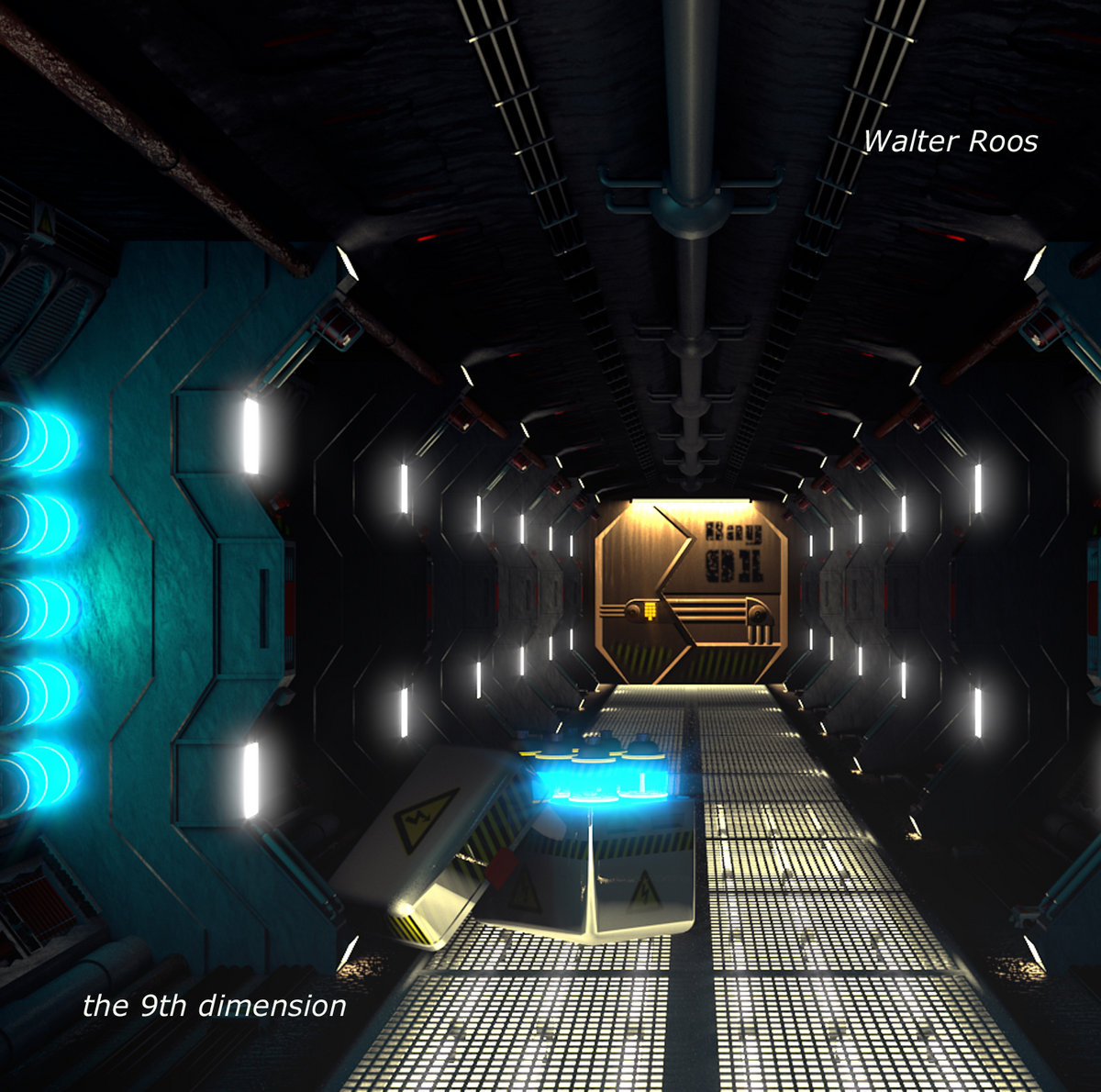 The 9th dimension | Walter Roos