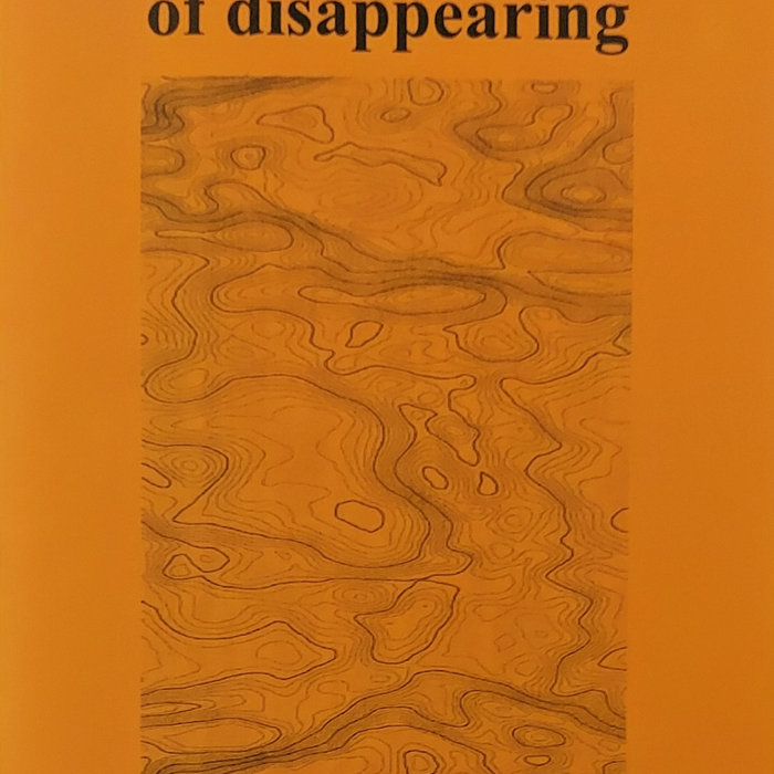 The Topography of Disappearing | Jason Baldinger